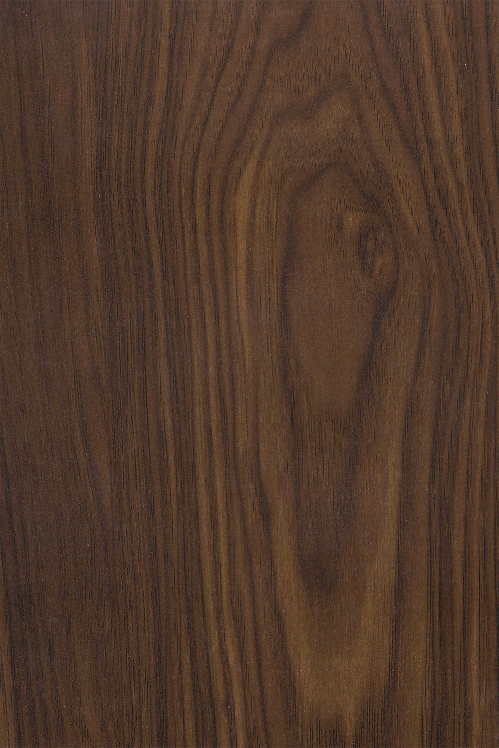 C690 / Golden Walnut - Toppal