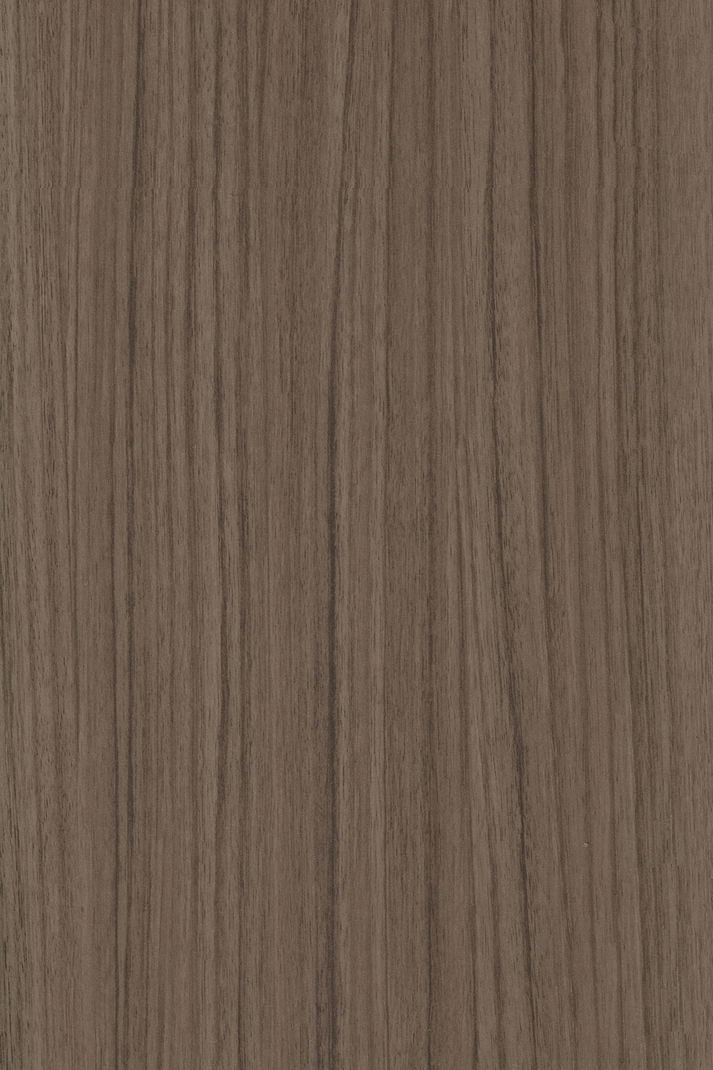 CW113 / Aged Walnut - Toppal