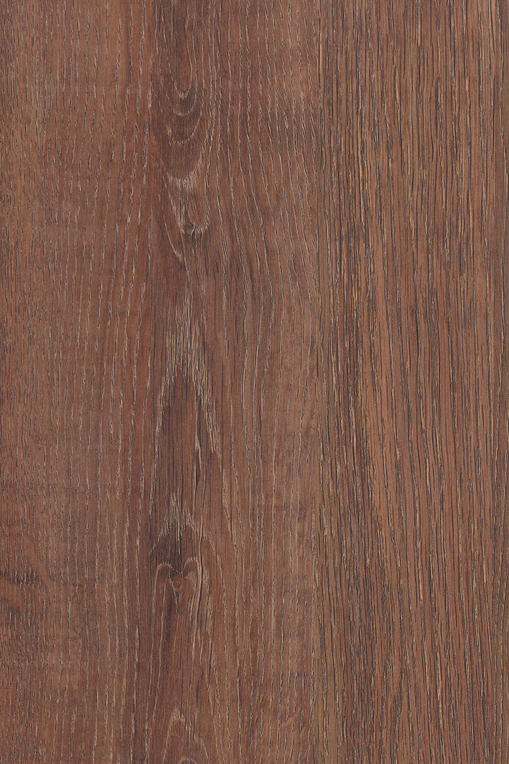 CW159 / Knotted Oak - Toppal