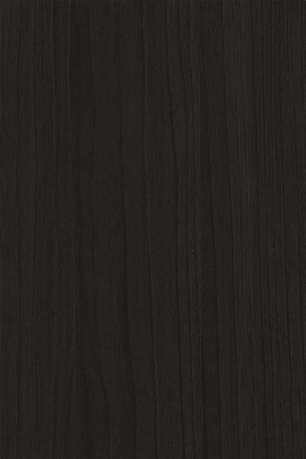 CW95 / Dark Elm - Toppal