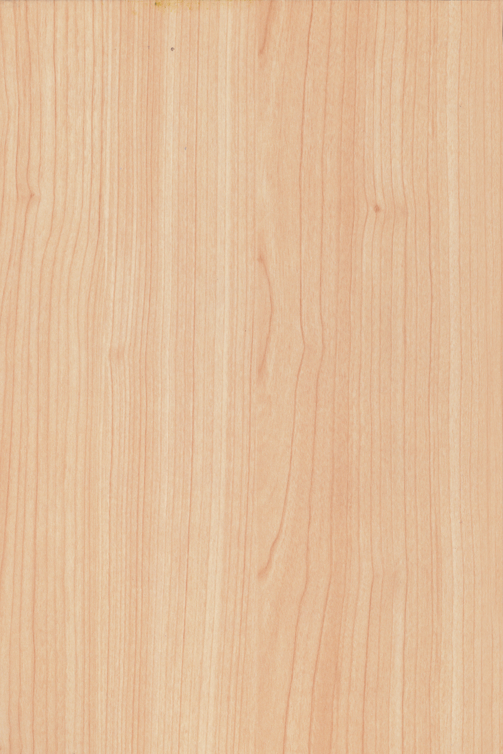 DH319 / Smooth Maple - Toppal