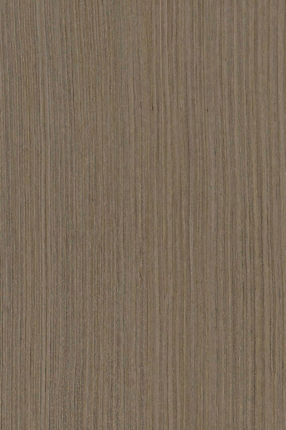 LC305 / French Oak - Toppal